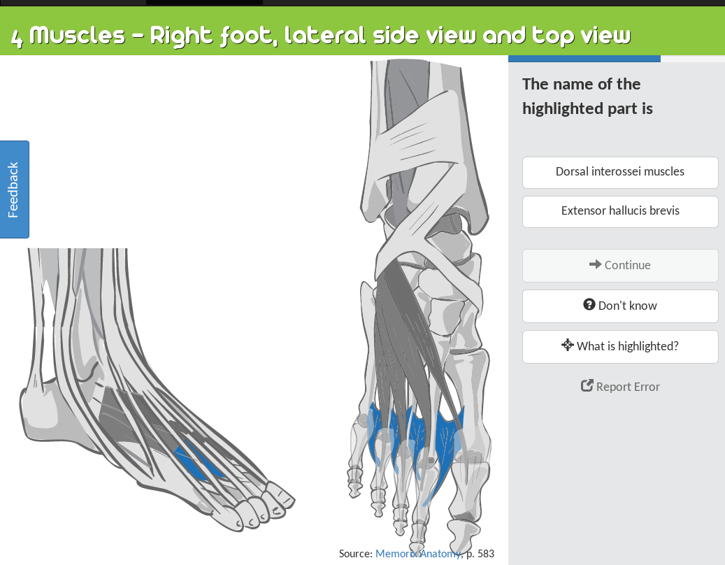 Back - PracticeAnatomy.com - review human anatomy in pictures